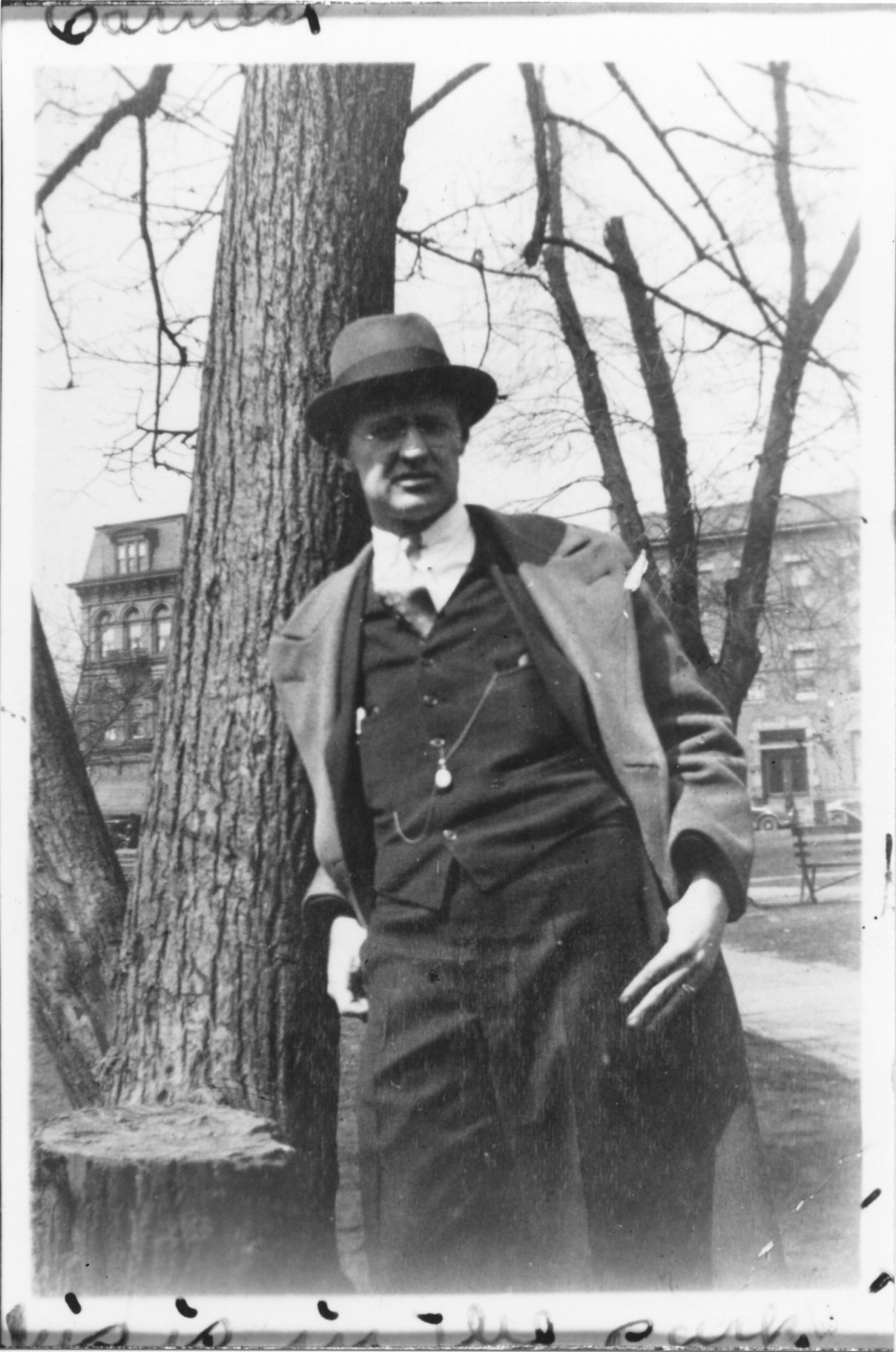 Thornton Lineage – Family History of Diana Thornton