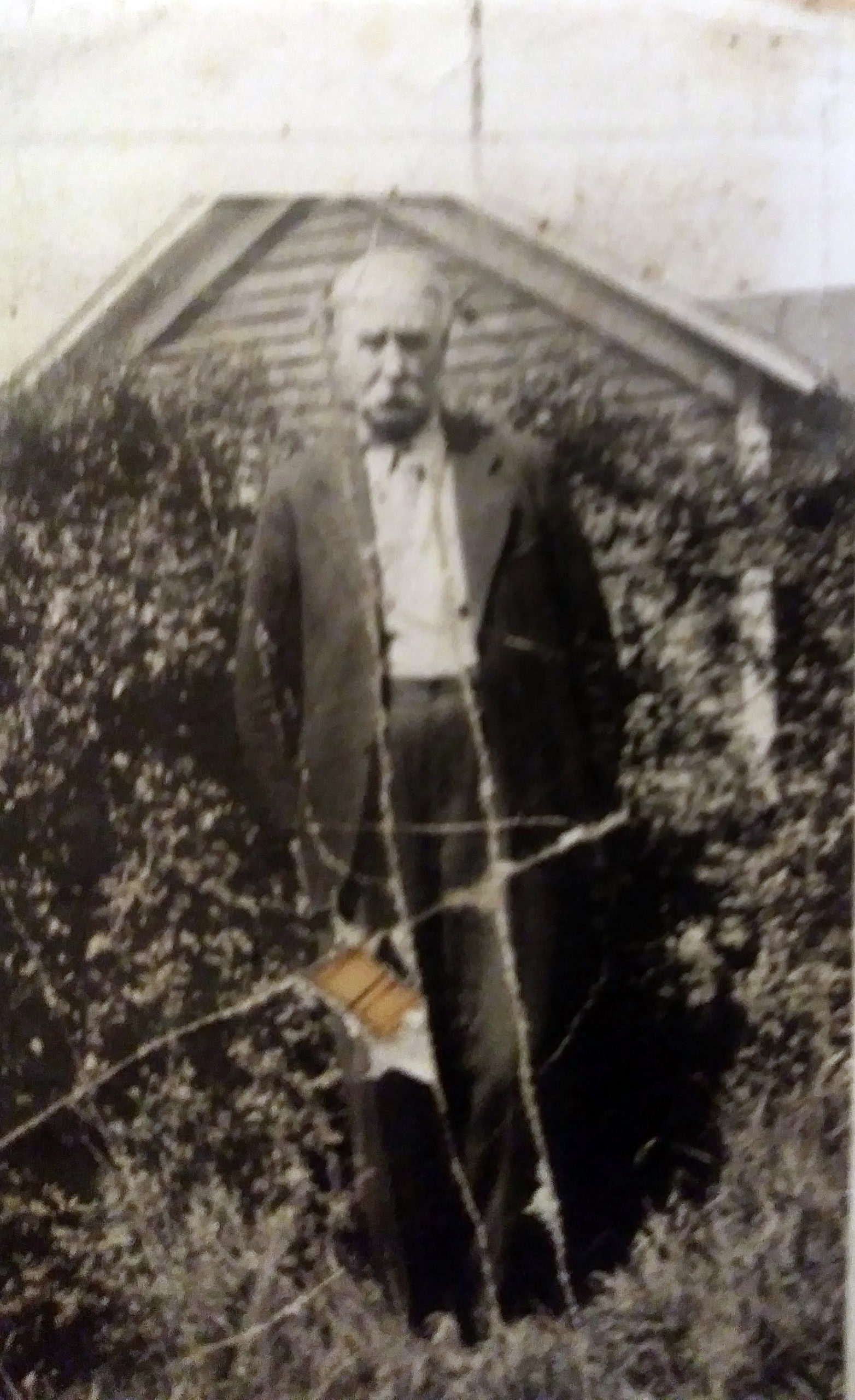 Thornton Lineage – Family History of Diana Thornton